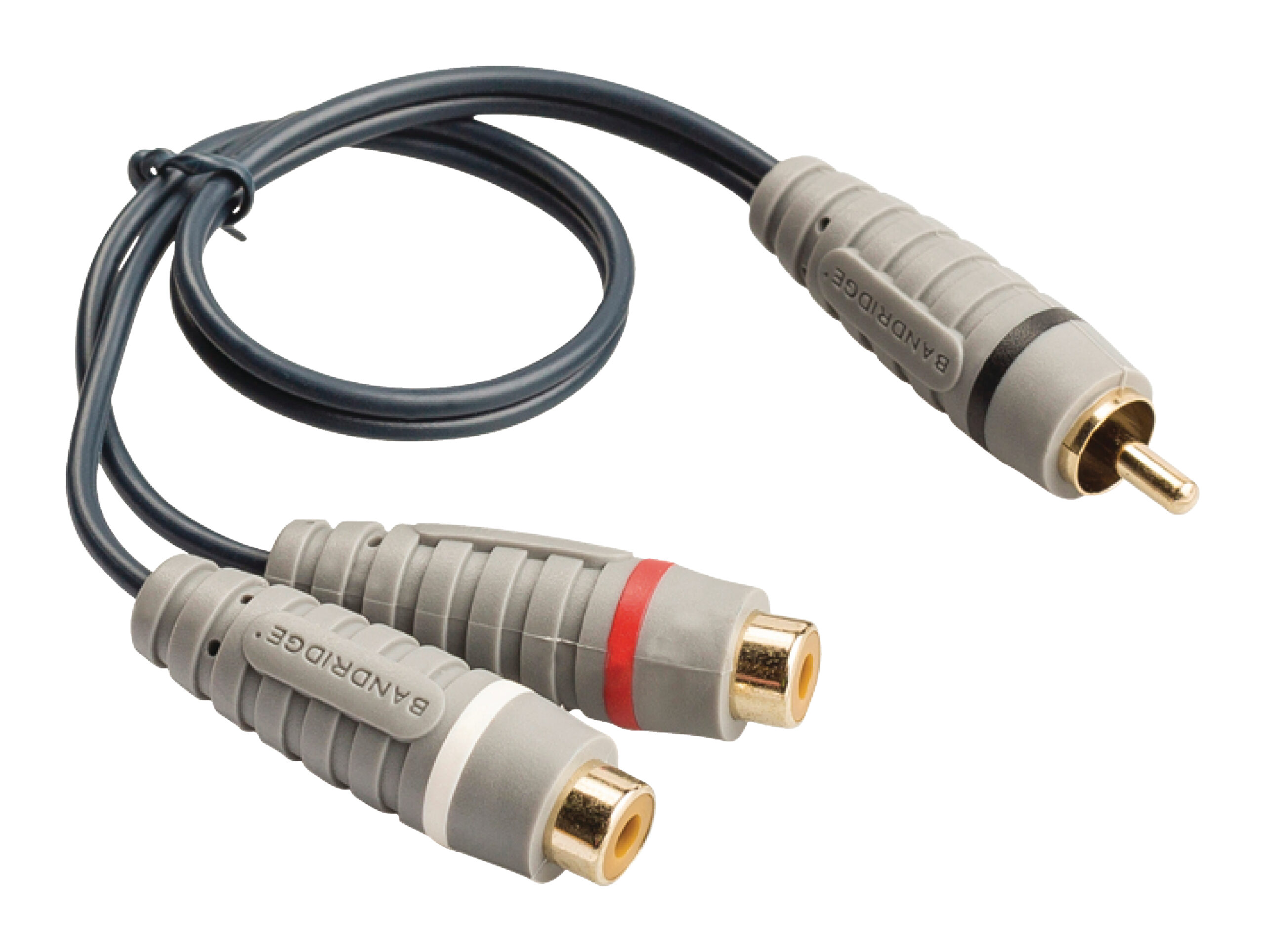 RCA tulp splitter kabel 1x RCA male > 2x RCA female – R.F. Systems