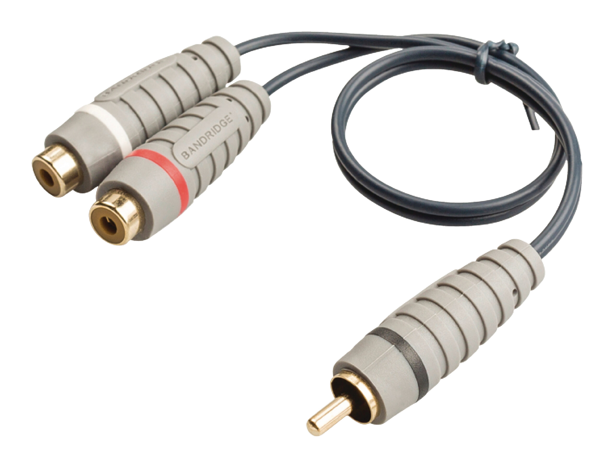 RCA tulp splitter kabel 1x RCA male > 2x RCA female – R.F. Systems